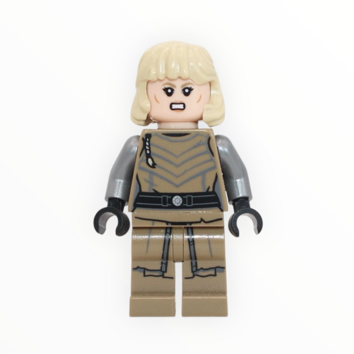 All LEGO minifigures | Bricks & Minifigs Anaheim