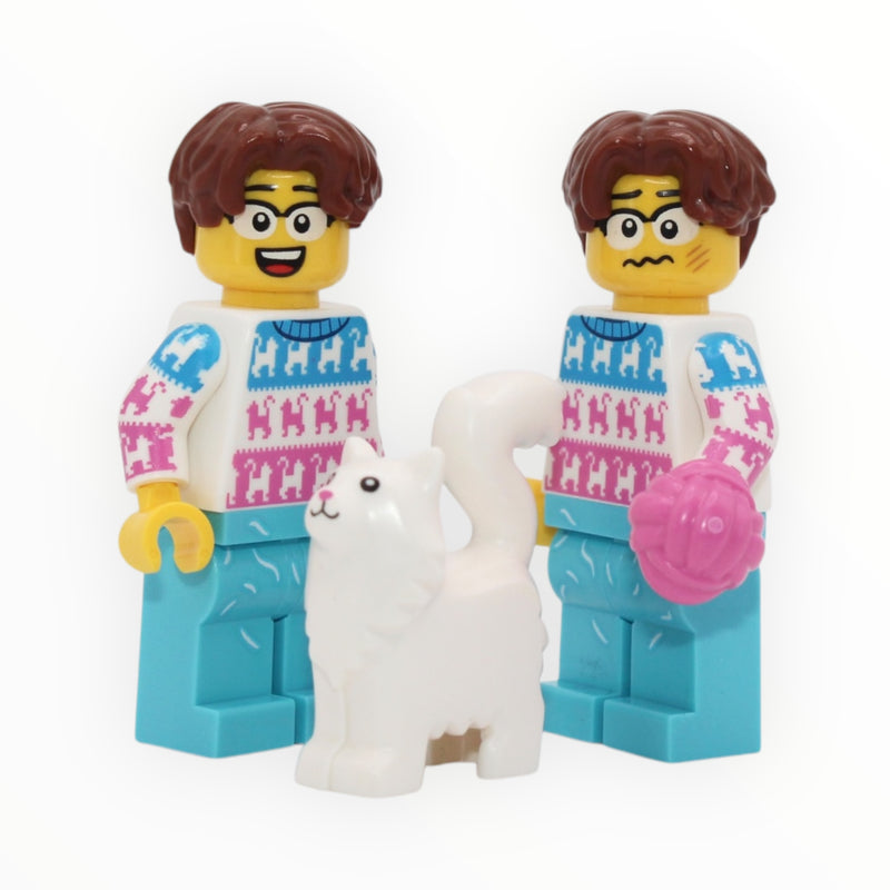All LEGO minifigures | Bricks & Minifigs Anaheim