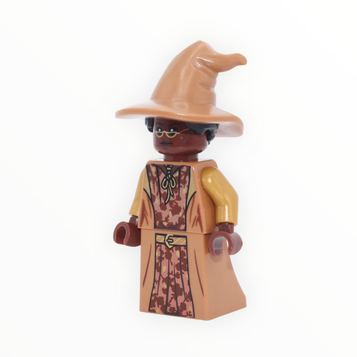 Professor Aurora Sinistra