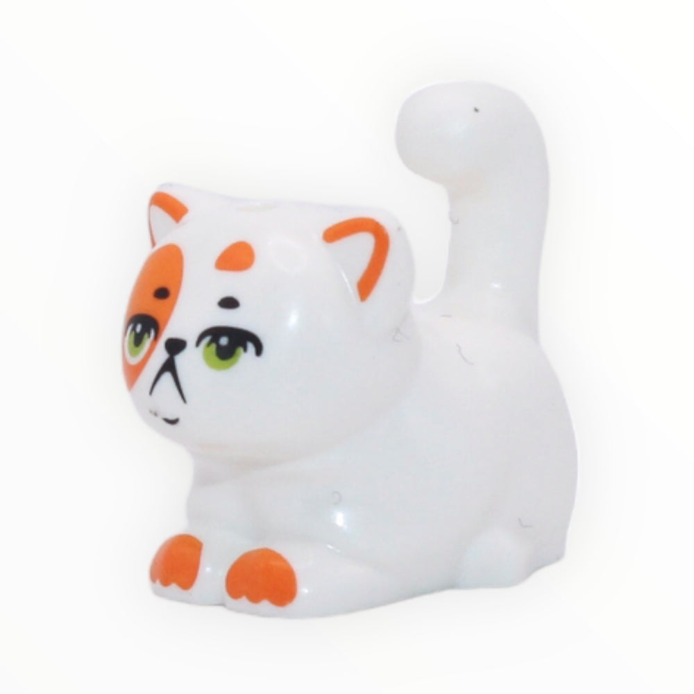 Churro (large cat, sitting, white with orange markings, Friends)