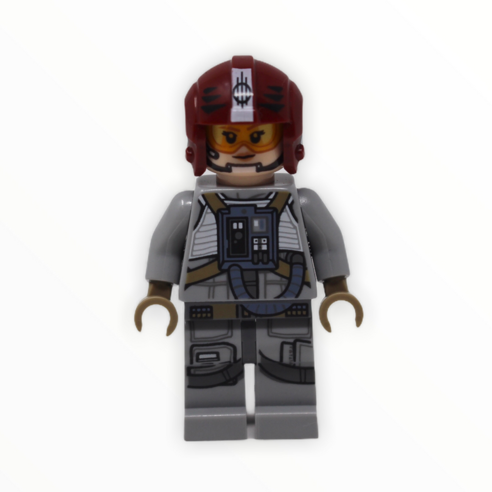 Sandspeeder Pilot